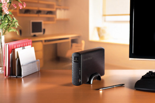 Iomega 1 TB Home Media Network Hard Drive Cloud Edition 34763 (Gray ...