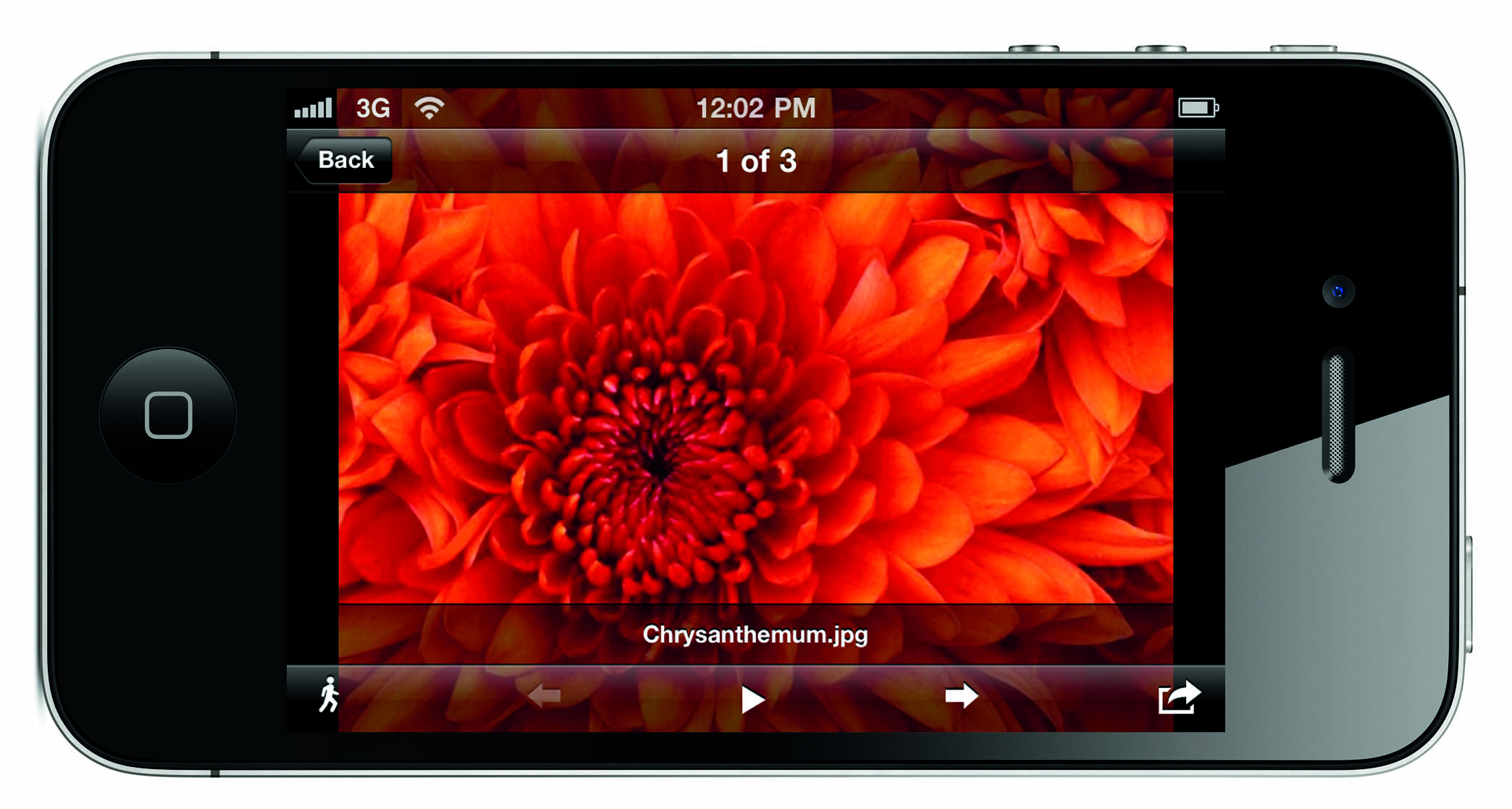 Pogoplug POGO-V4-A3-01 Series 4 Multimedia Sharing Device (Black ...