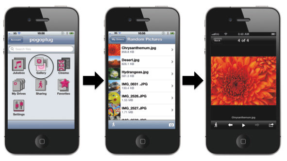 Pogoplug POGO-V4-A3-01 Series 4 Multimedia Sharing Device (Black ...