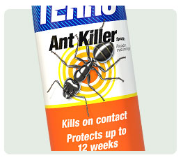 Amazon.com: Terro 16 oz Ant Killer Aerosol T401 : Patio, Lawn & Garden