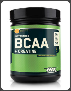 Amazon.com: Optimum Nutrition Instantized BCAA and Creatine, Orange ...