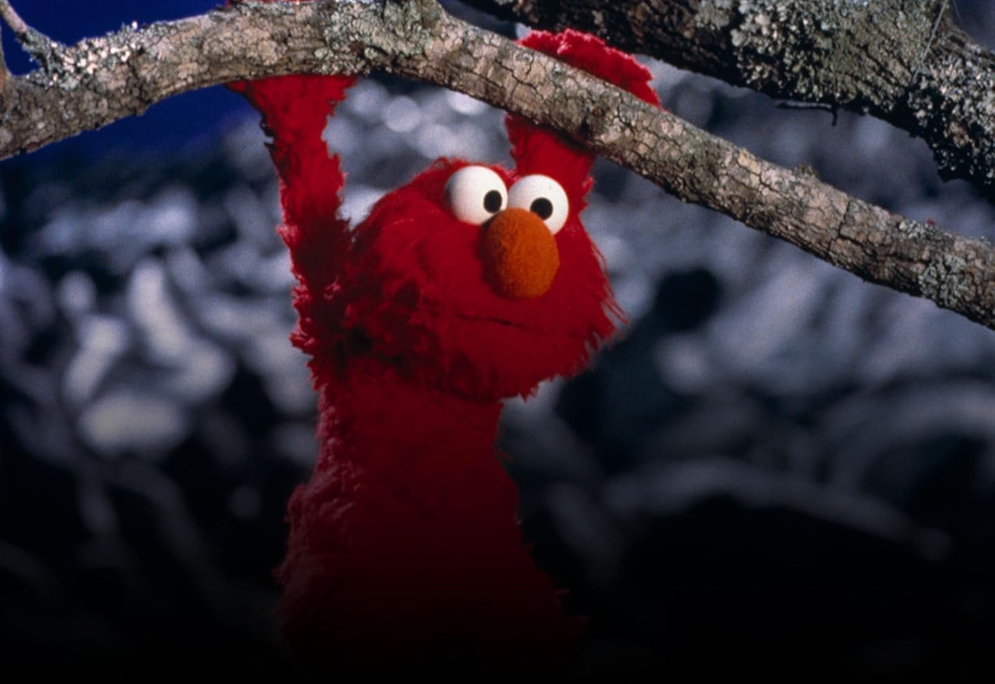 Watch Adventures of Elmo in Grouchland | Prime Video