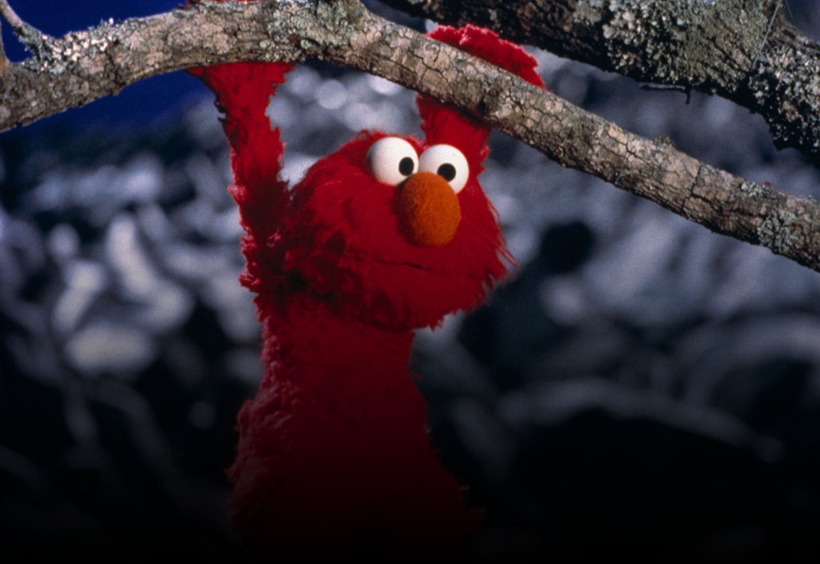 Watch Adventures of Elmo in Grouchland | Prime Video