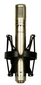 Amazon.com: Bad Aax T 50B Vacum Tube Condenser Microphone with Power ...