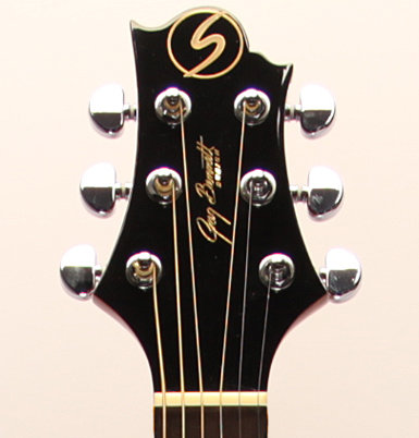 Amazon.com: Samick Greg Bennett Design D1CE Acoustic Guitar, Black ...