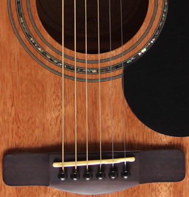 Amazon.com: Samick Greg Bennett Design D1CE Acoustic Guitar, Black : Musical Instruments