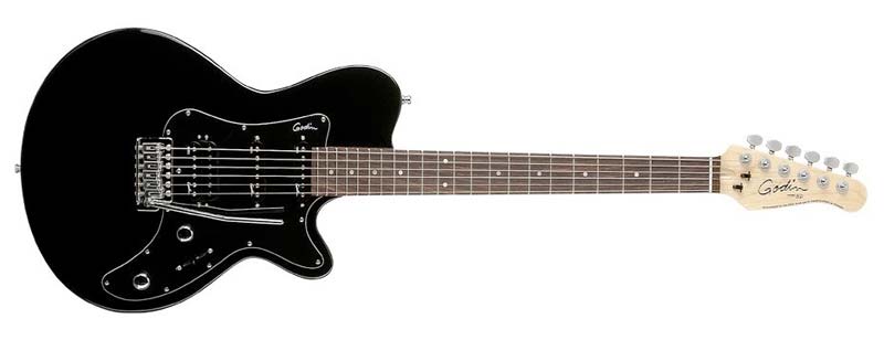 Amazon.com: Godin SD 22 Electric Guitar (Black Pearl RN) : Musical ...