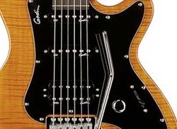 Amazon.com: Godin SD 22 Electric Guitar (Amber Flame Leaftop RN ...