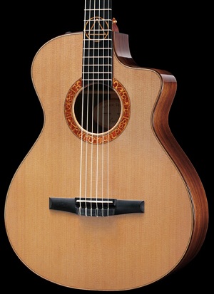 Amazon.com: Taylor Guitars JMSM Jason Mraz Signature Model Grand ...