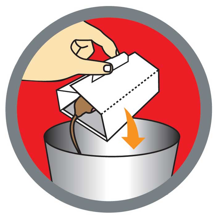 Download How To Get Sticky Trap Glue Off Clothes Pics WallsGround