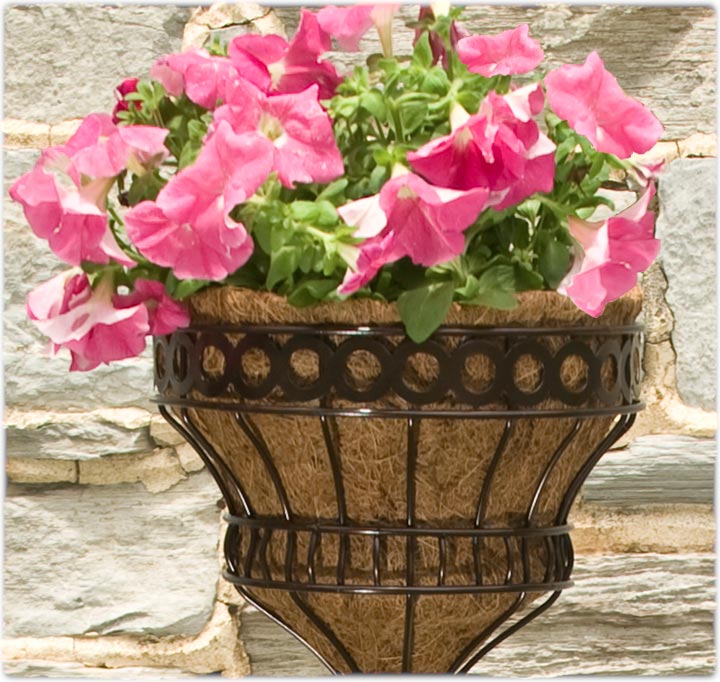 Amazon.com : CobraCo SPQE-BZ Queen Elizabeth Parasol Bronze Stake ...