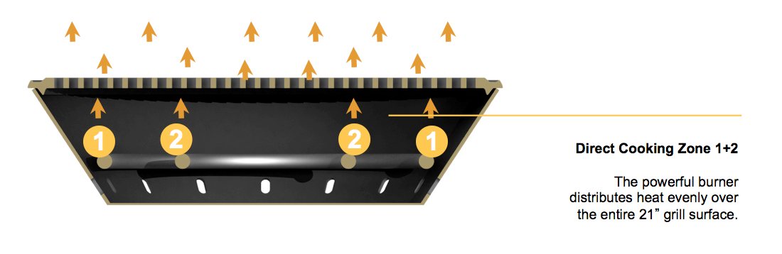 Amazon.com: Fuego Element Dual-Zone Gas BBQ Grill, Stainless Steel ...