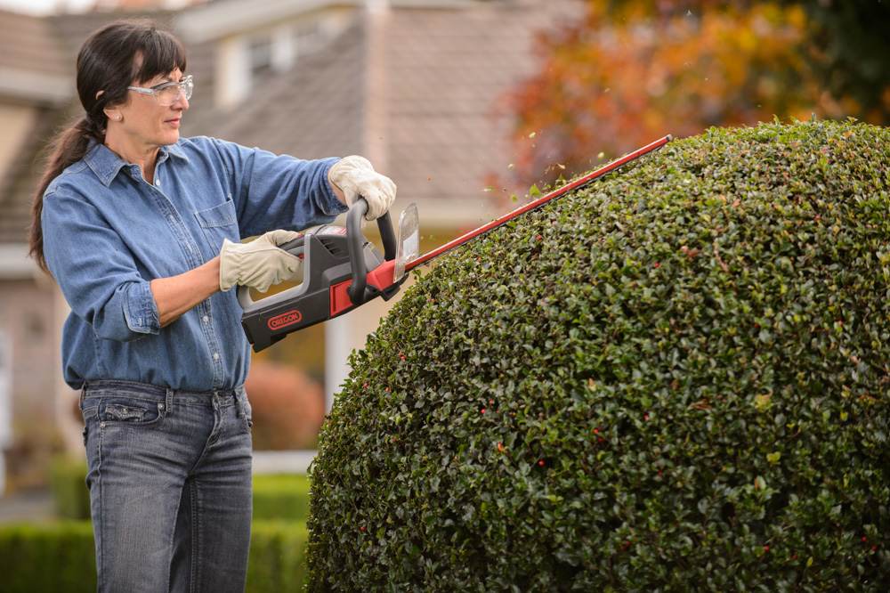 Amazon.com : Oregon HT275 Cordless Hedge Trimmer, 24-Inch Blade - Tool ...