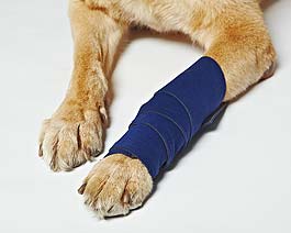 Healers Pet Medium Leg Wraps-24-Inch, Blue: Amazon.ca: Pet Supplies