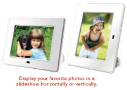 Amazon.com : ViewSonic DF87G-533 8-Inch Digital Picture Frame : Camera ...