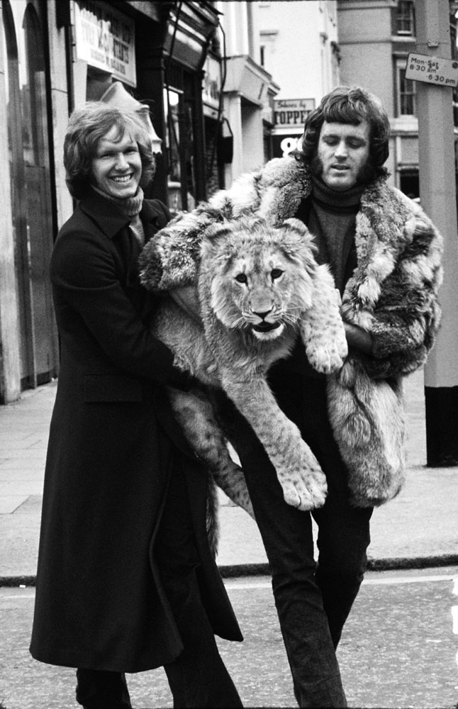 A Lion Called Christian: The True Story of the Remarkable Bond Between ...