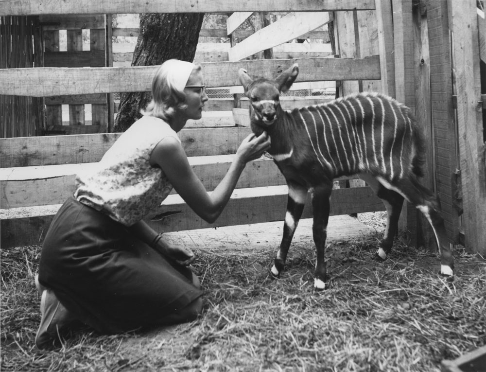 Joan Root - Alchetron, The Free Social Encyclopedia