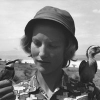 Wildflower: An Extraordinary Life and Untimely Death in Africa: Seal ...