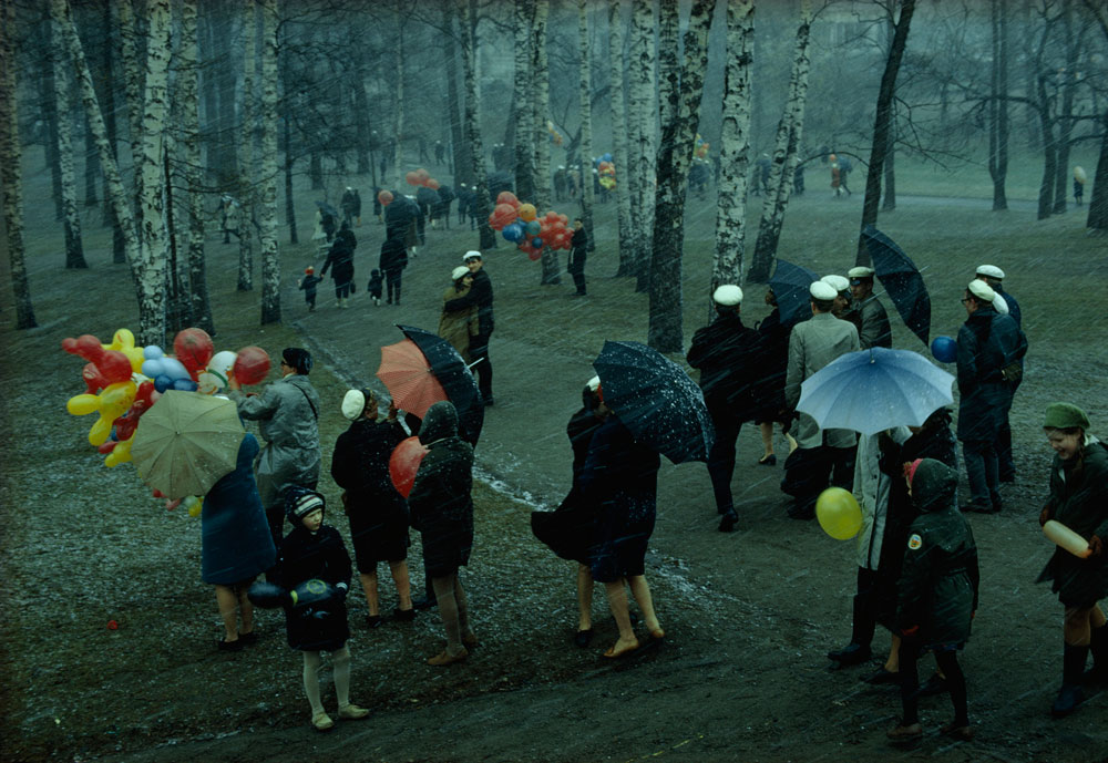 Amazon.com: Love: 9781426206290: Protzman, Ferdinand: Books