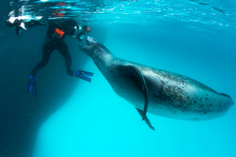 National Geographic Image Collection: National Geographic, Delaney ...