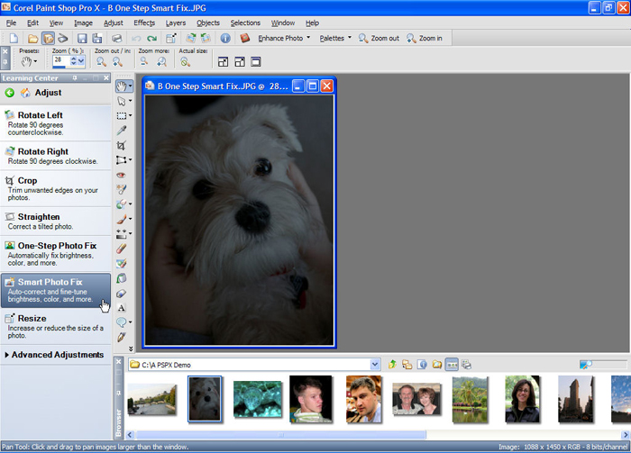 Amazon.com: Corel Sony Visual Creation Studio Pro