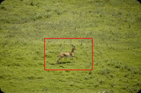 Amazon.com: Genuine Fractals 5