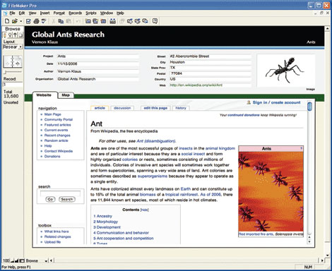 Amazon.com: FileMaker Pro 8.5 Upgrade Win/Mac