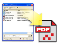 Amazon.com: ScanSoft PDF Converter Professional 3.0 [Old Version]