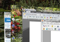 Amazon.com: ScanSoft PDF Converter 4 Professional [OLD VERSION]