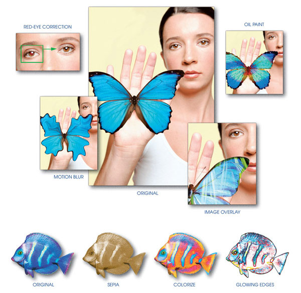 Amazon.com: The Print Shop Design Suite Professional Edition [Old Version]