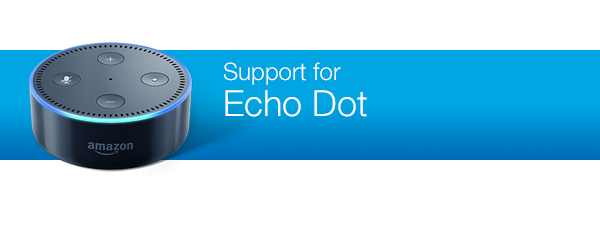 Amazon Help Echo Dot Help Amazon Help Echo Dot Help
