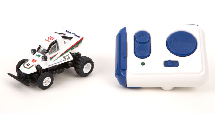 Amazon.com: Spinmaster Micro RC Terrain Titans Grasshopper White : Toys ...