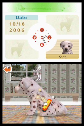 Amazon.com: Nintendogs Dalmatian & Friends : Videojuegos