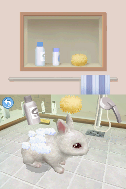 Petz Bunnyz Bunch (Streets 3-8-11) : UbiSoft: Amazon.de: Sonstiges