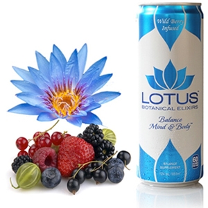 Amazon.com : Lotus Botanical Elixir, Blue Lotus Elixir, Wild Berry ...