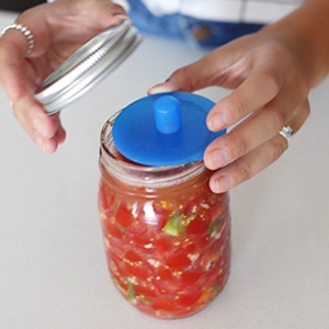 Masontops Complete Mason Jar Fermentation Kit - Glass Weights ...