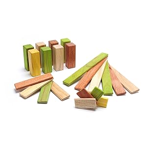 4 Pack Tegu Magnetic Wooden Wheels, Magnets & Magnetic Toys - Amazon Canada