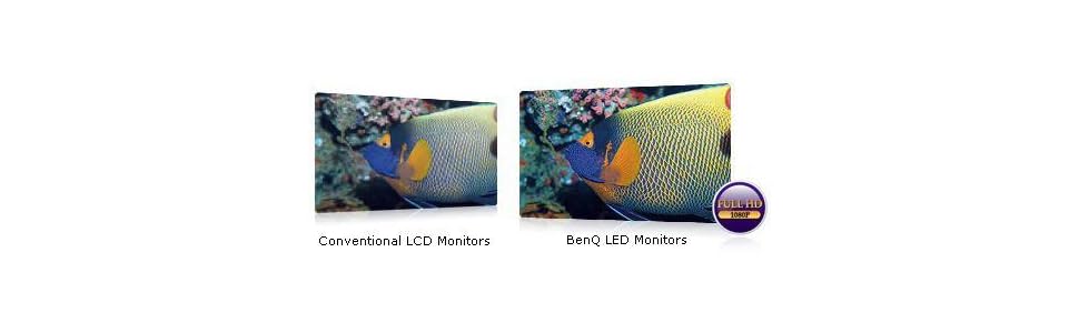 BenQ DL2215 LED TN 21.5 -inch W 1080p Full HD LED Glossy Monitor (1920 ...