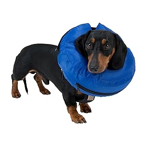 Buster Inflatable Collar, M: Amazon.co.uk: Pet Supplies