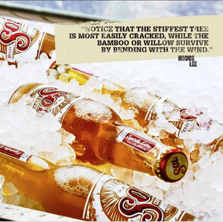 Sol Beer Cans, 24 x 330 ml: Amazon.co.uk: Grocery