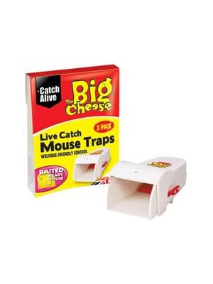 The Big Cheese Live Catch Mouse Traps (Baited, Ready to Use, Easy to ...