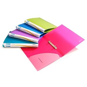 Rapesco Perforated Folders for Ring Binders (6 Pockets per Folder) A4 ...