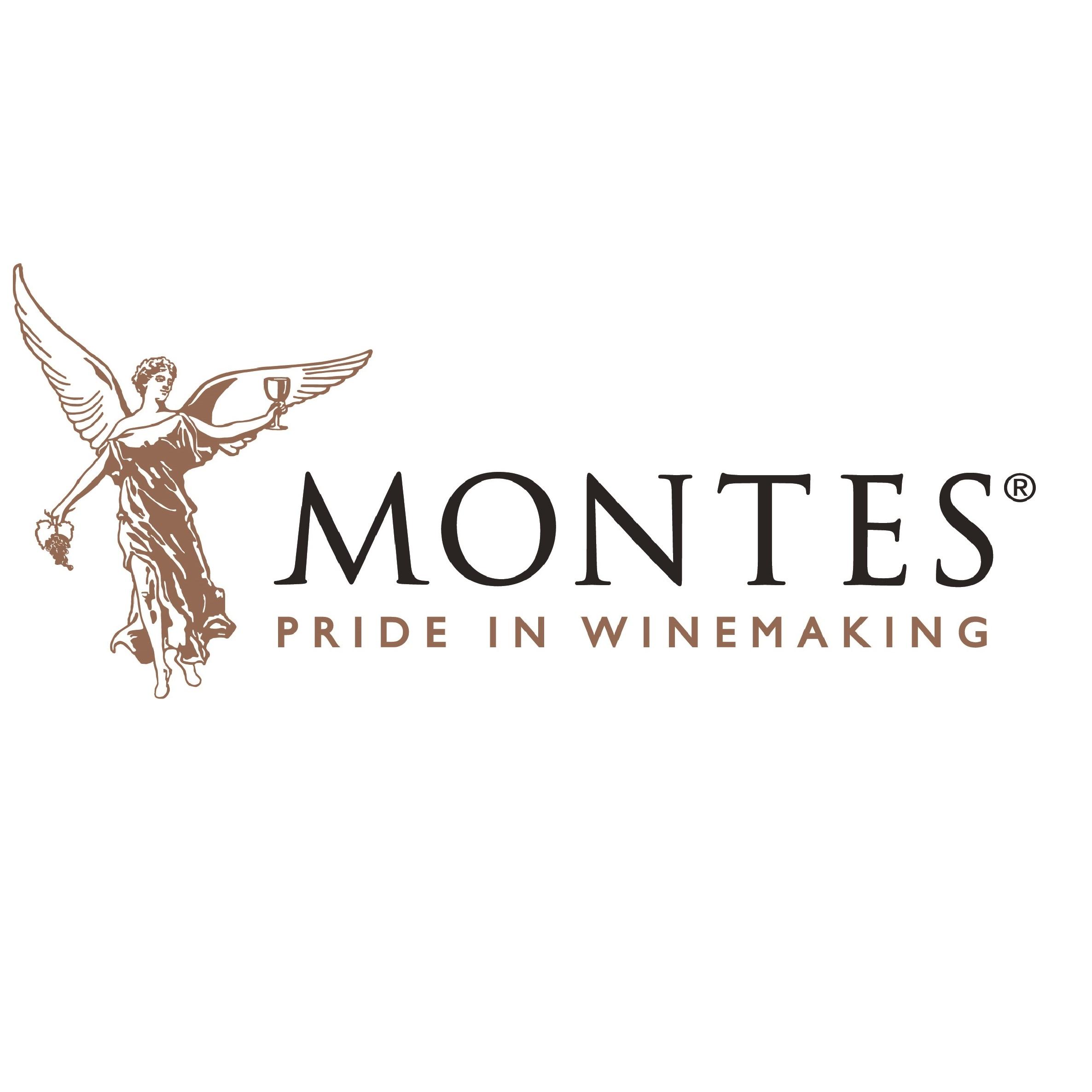 Montes Folly Syrah Apalta Vineyard 2015 Wine 75 cl: Amazon.co.uk: Grocery