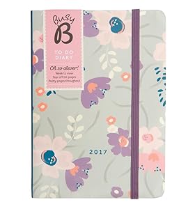 Busy B 2017 To Do Diary with Tear-Out To Do Lists: Amazon.co.uk: Office ...