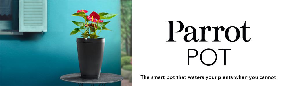 Parrot Pot - Black: Amazon.co.uk: Garden & Outdoors
