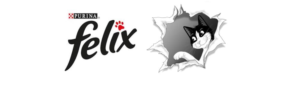 Felix Mixed Selection in Jelly Wet Cat Food Pouch, 100 g (Pack of 96 ...