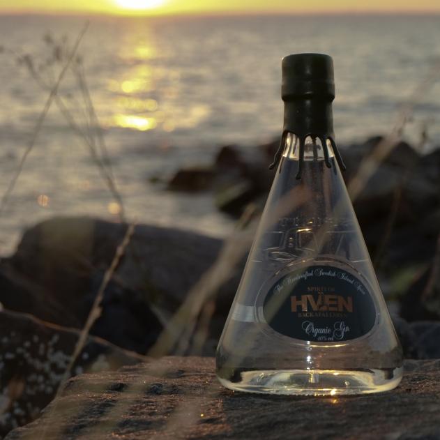 Spirit of Hven Organic Gin, 50 cl: Amazon.co.uk: Grocery