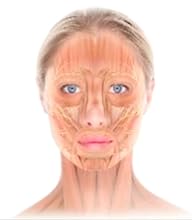 Slendertone Women's Face Replacement Pads (Pack of 6) : Amazon.co.uk ...