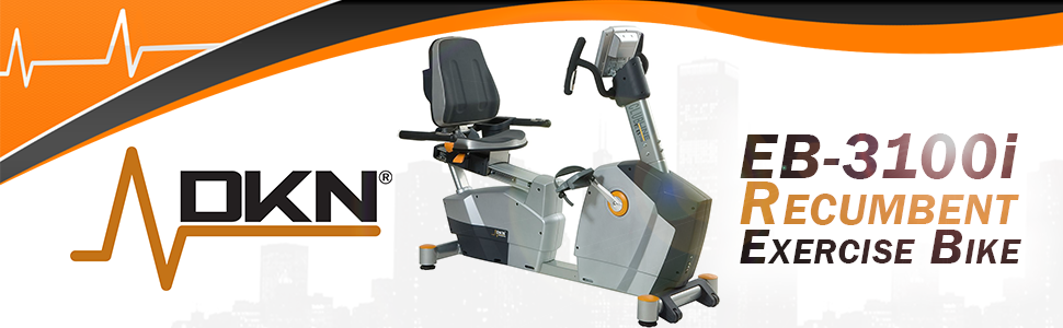 DKN EB-3100i Recumbent Exercise Bike - Grey : Amazon.co.uk: Sports ...