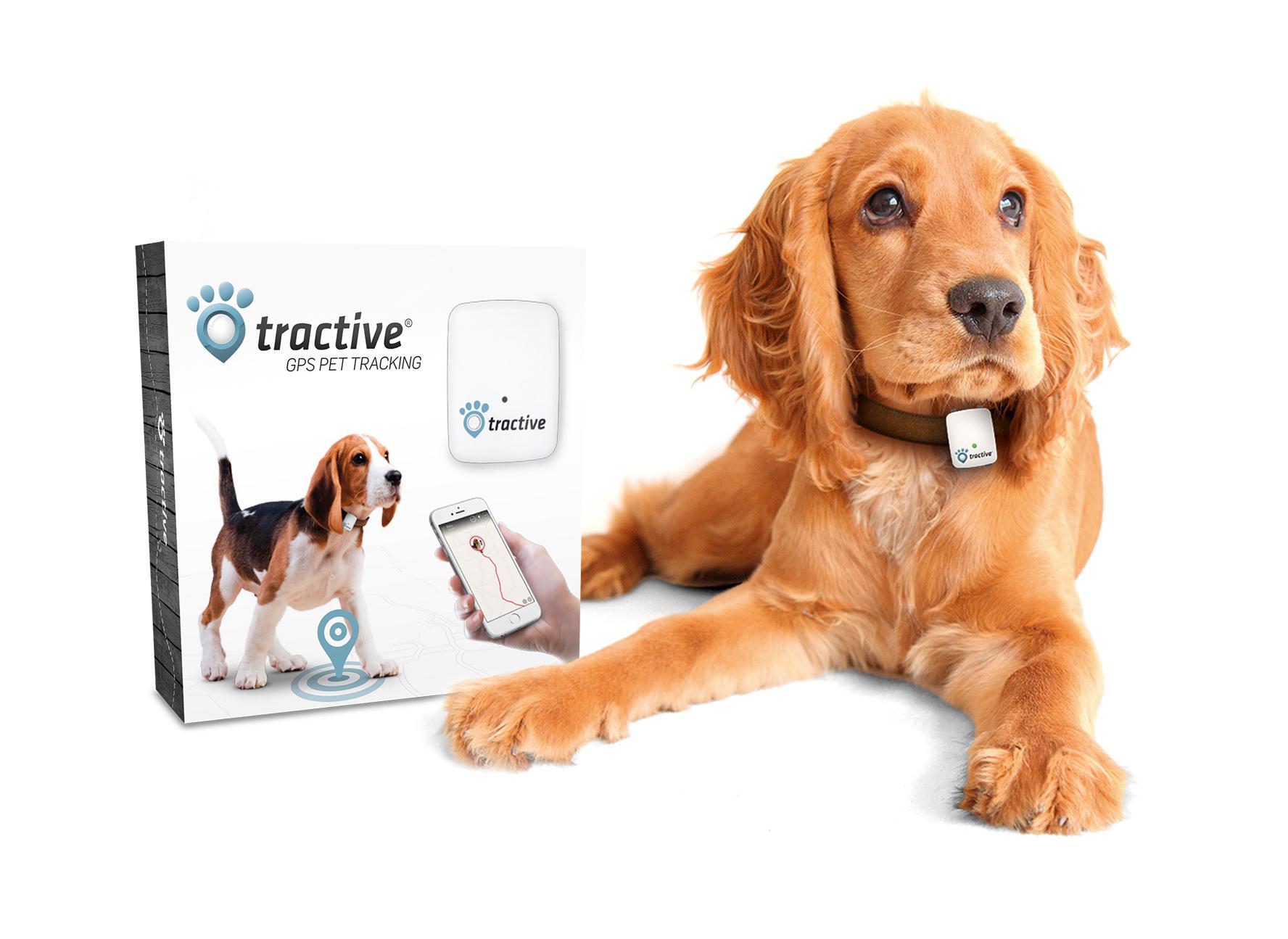 Tractive GPS Tracker für Hunde und Katzen: Amazon.de: Haustier